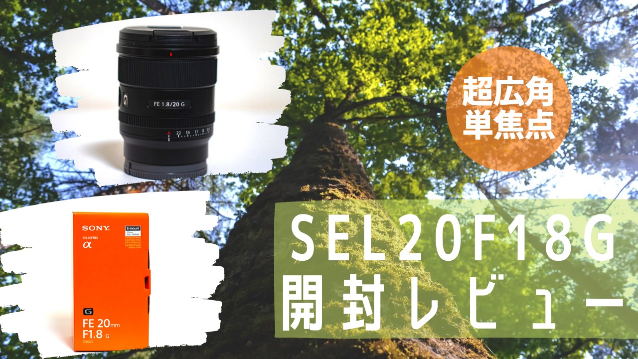 SONYの超広角単焦点レンズSEL20F18Gを開封レビュー【作例あり】 | ぐんまでパシャリ